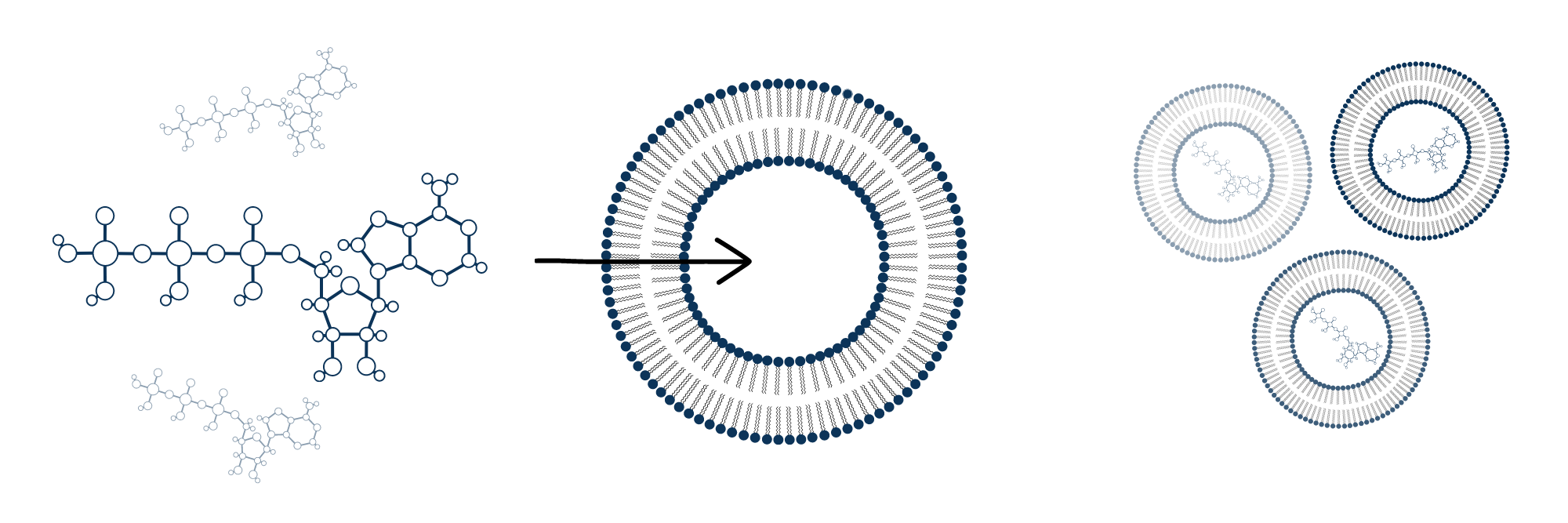 The Science: ATP and Skin – Energy Delivery Solutions