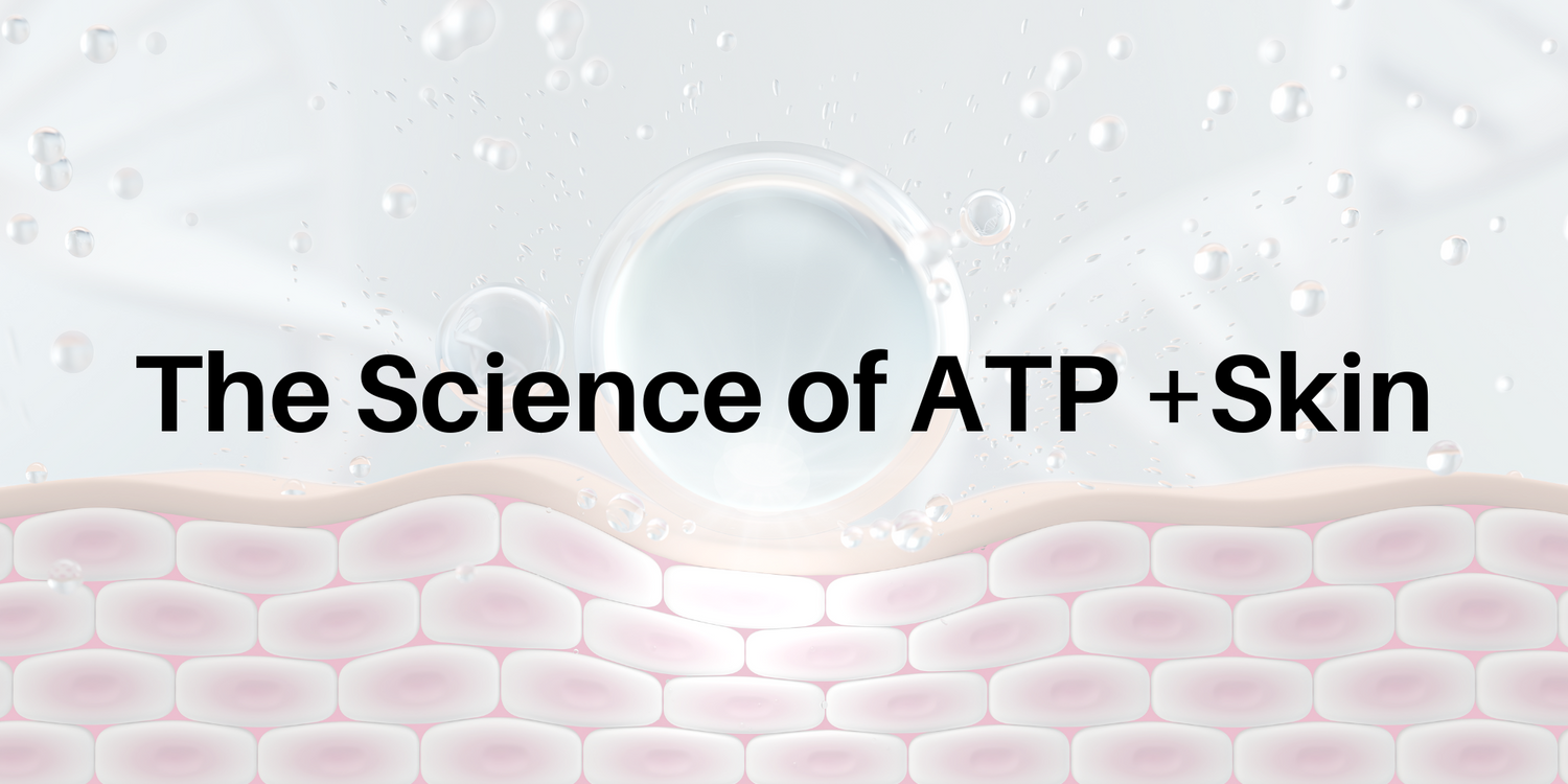 The Science: ATP and Skin – Energy Delivery Solutions