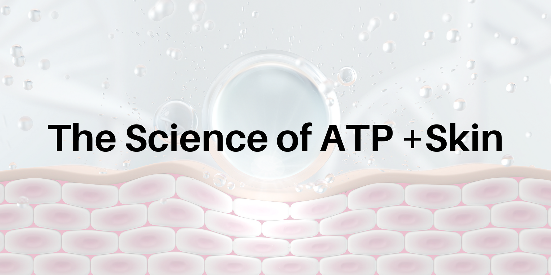 The Science: ATP and Skin – Energy Delivery Solutions