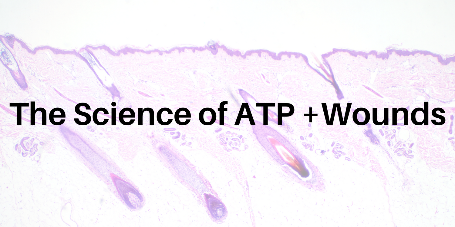 The Science: ATP and Wounds – Energy Delivery Solutions