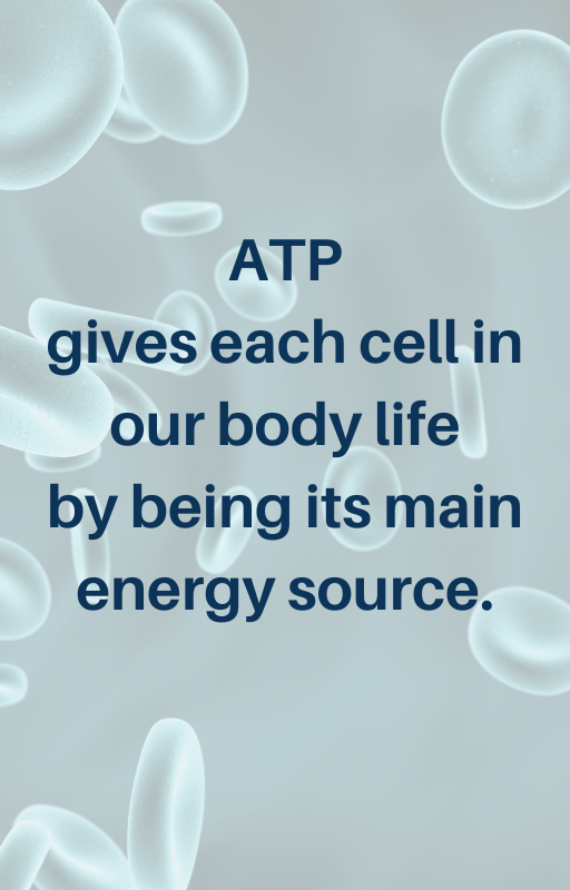 The Science of ATP – Energy Delivery Solutions